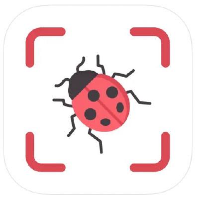 Apps to Identify Insects - Sharp Eye